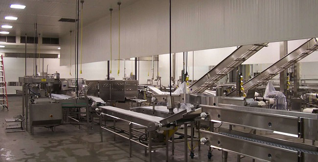 Baby Food Production Plant - Kerone