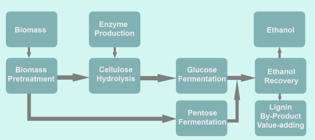 Ethanol Production and its Method - Kerone
